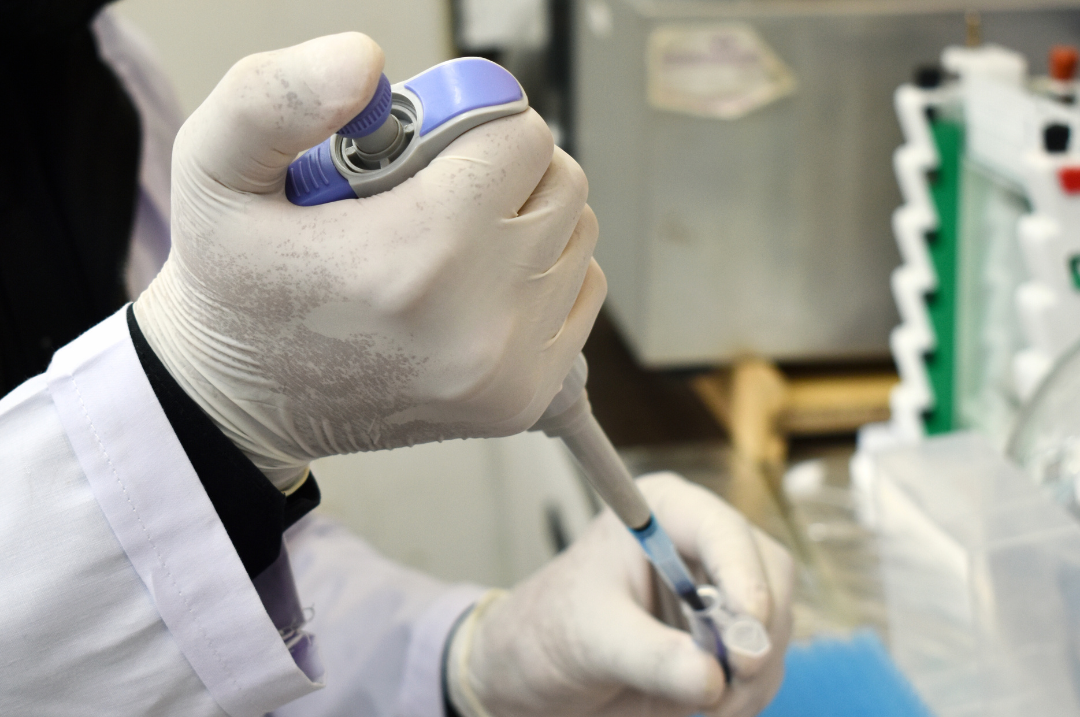 The Critical Role of Nitrogen Blowdown in SPE Sample Preparation